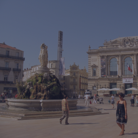 Accueil - ESN - CELAD